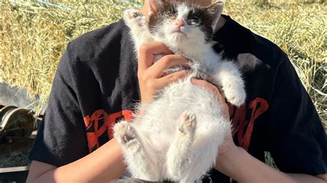 Drawling Random Things Again Youtube