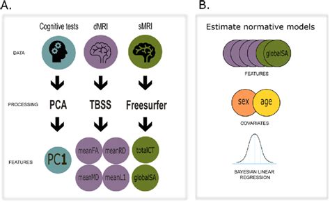 A Overview Of The Different Raw Data Included The Processing Steps Download Scientific