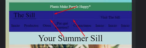 Html Lines Or Borders That I Dont Know How To Remove Stack Overflow