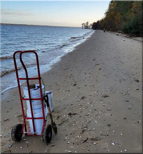 Pipsico Fossil Dig October 2022