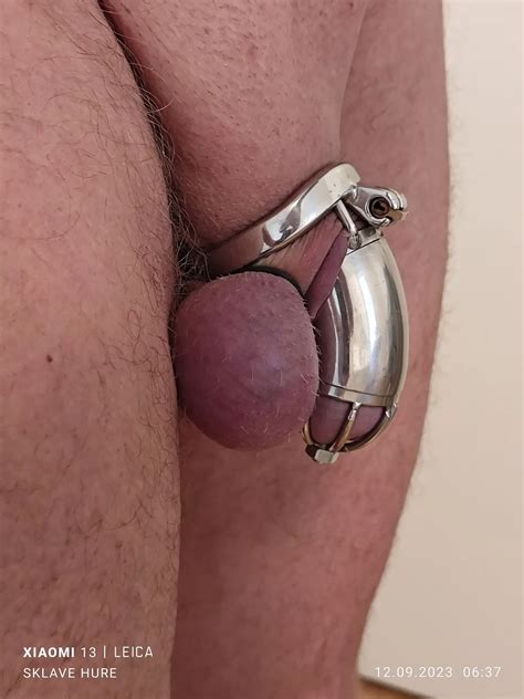 Mandatory Documentation Cockcage Plug Weight 9122023 22 Nude Pics Xhamster