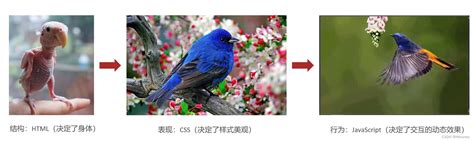 前端（html5 css3）（学习笔记） html我同意相关协议 csdn博客