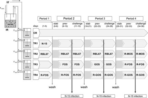 Experimental Set Up Of The Continuous Fermentation Experiment Ir Download Scientific Diagram