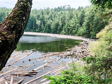 Hiking Young Hill On San Juan Island 2026