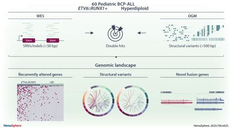 Sheila Purim On Linkedin Optical Genome Mapping Identifies Novel