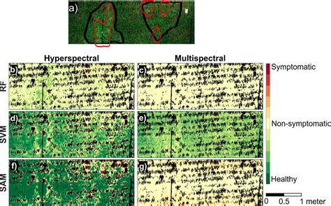 Classification Results For F1 T3 Field 1 Transect 3 Panel A Is An