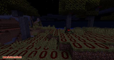 Torch Optimizer Mod 1 17 1 1 16 5 Torch Placement Indicator Mc Mod Net