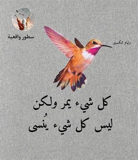 madiha toujani posted on linkedin