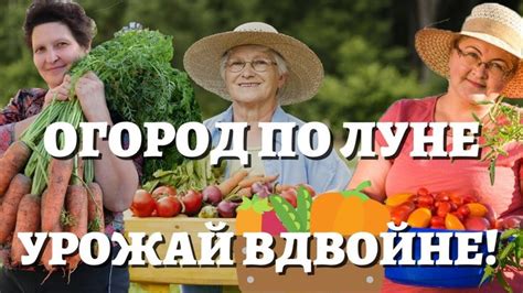 ИЮНЬ 2021 ЛУННЫЙ КАЛЕНДАРЬ ОГОРОДНИКА и САДОВОДА по дням Что и когда делать по Луне