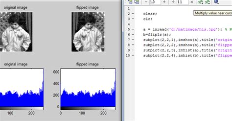 Write A Matlab Program For Histogram Of Original And Flipped Image Sourcecodepoint