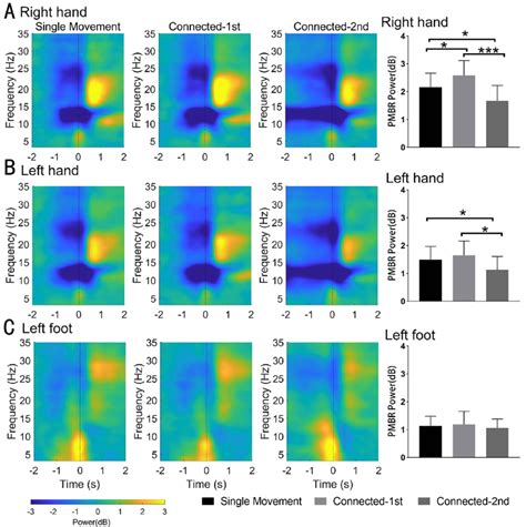 Power Changes Of The Beta Rhythm 17 24 Hz After The Reaction And Download Scientific Diagram