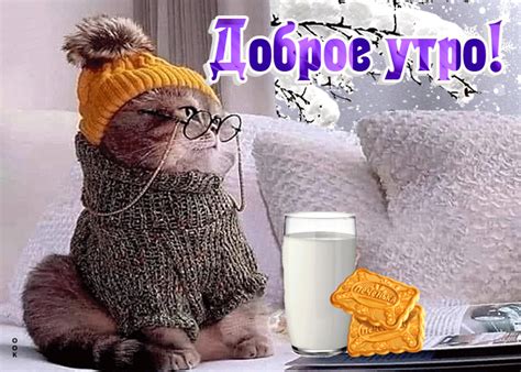 Стильная открытка с котиком в очках Доброе утро Скачать бесплатно на
