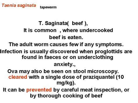 Taenia Saginata Tapeworm T Saginata Beef It Is
