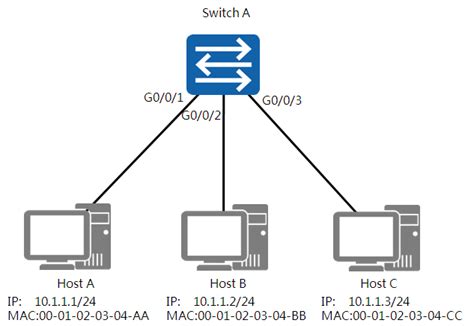 Single Switched Network Data Communication Quiz Care4you