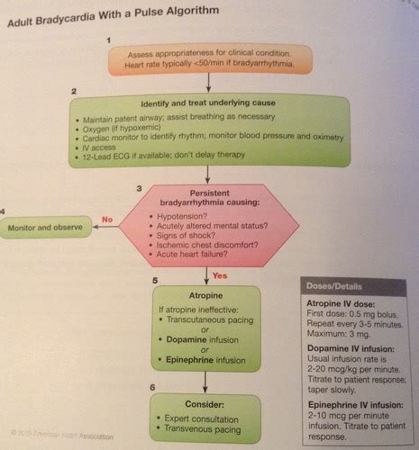 Acls Pacing Algorithm