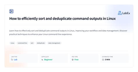 How To Efficiently Sort And Deduplicate Command Outputs In Linux Labex
