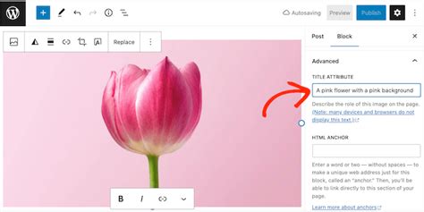 How To Easily Add Title Attribute To Images In Wordpress 2 Methods