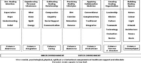 The Optimal Healing Environment Ohe Framework Source Sita Ananth