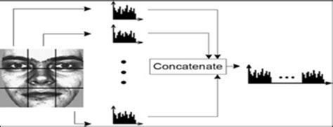 Lbp Based Face Description Download Scientific Diagram