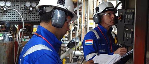 Liquid Or Gas Grab Sampling Systems Panels And Valves Swagelok