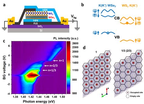 Nature Communications 二维半导体异质结超晶格中强关联态对层间激子的调控作用 材料牛
