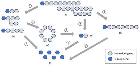 Polymers Free Full Text Customizing Starch Properties A Review Of Starch Modifications And
