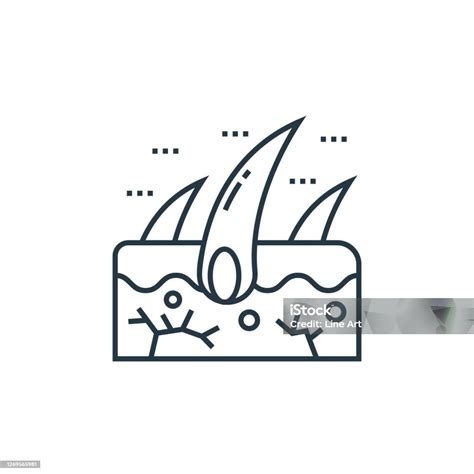 세포 장기 및 의료 대마초 개념에서 모낭 아이콘 벡터 모낭 편집 가능한 뇌졸중의 얇은 선 그림 웹 및 모바일 앱 로고 에 사용하기 위한 모낭 선형 사인 건강관리와 의술에