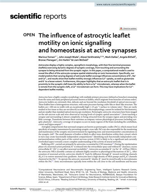 Pdf The Influence Of Astrocytic Leaflet Motility On Ionic Signalling And Homeostasis At Active