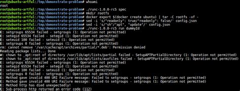 The Example Runc Spec File Does Not Work With Ubuntu Apt Update Issue