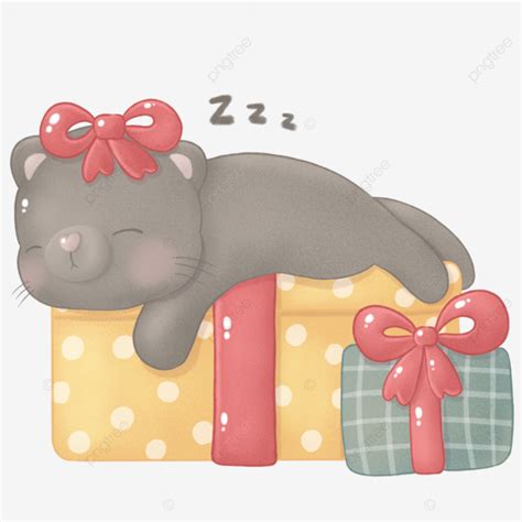 Gray Cat Sleep On Present Box Cat Christmas Present Box Png