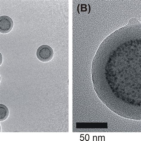 1 A Tem Image Of Assemblies Of Cdsezns Qds And Paa B Ps B Tem