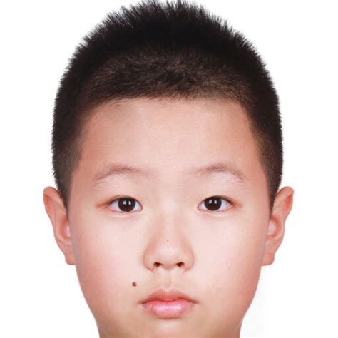 Yan Hu Lingnan University Hong Kong Centre For Humanities Research Research Profile