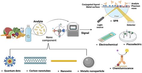 Emerging Applications Of Nanobiosensors In Pathogen Detection In Water