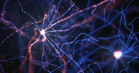 In A First Memory Shown To Have Two Distinct Past And Future Paths Rdamninteresting