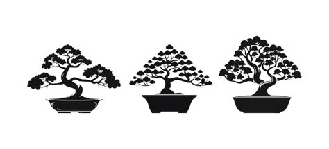 Premium Vector Elegant Bonsai Plant Design