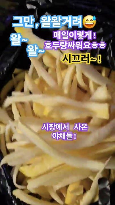 채소많이드세요 알록달록한~~~채소들👍ㅋㅋㅋㅋ Youtube