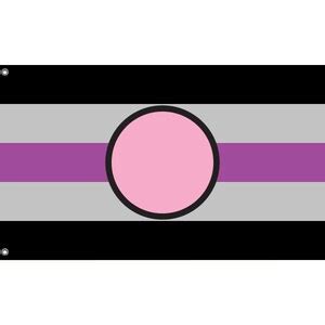 Fictosexuality Flag Unique Design Print High Quality Materials Size X Ft X Cm