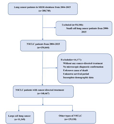Flow Chart Of Patient Screening Abbreviation Lcc Large Cell Download Scientific Diagram