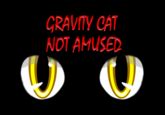 Gravity Cat Know Your Meme Gravity Cat Know Your Meme
