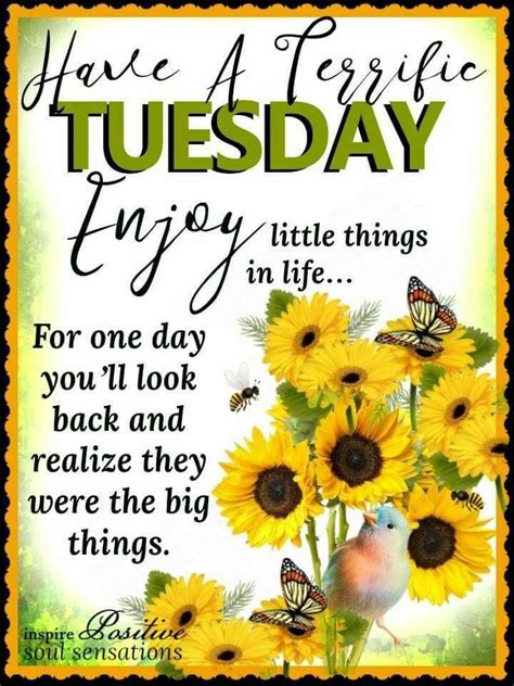 Have A Terrific Tuesday Images