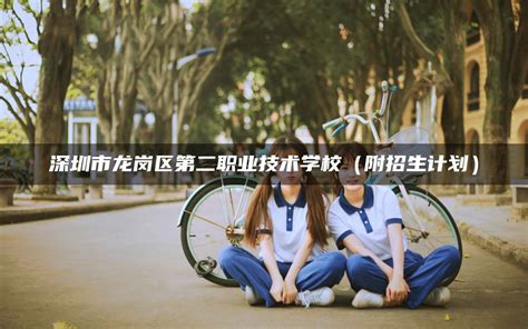 深圳市龙岗区第二职业技术学校附招生计划 广东技校排名网