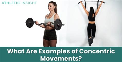 Concentric Phase Definition Importance Examples And Benefits Athletic Insight