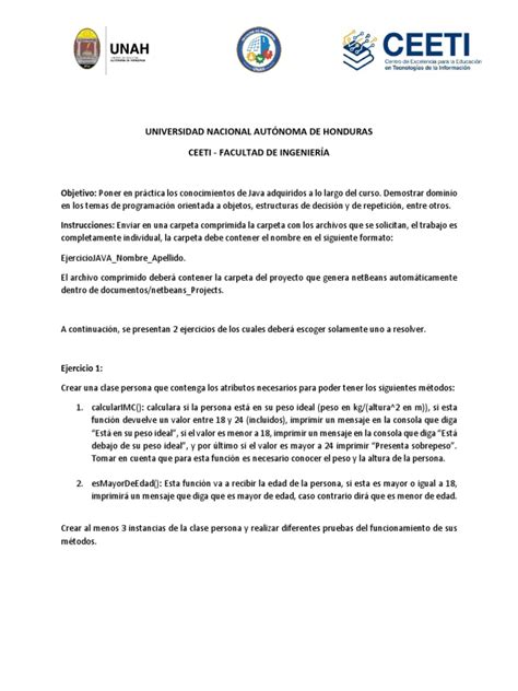 Ejercicio Java Pdf Java Lenguaje De Programación Objeto Informática