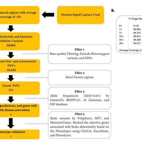 A Variant Filtering Scheme Used To Prioritize The Variants Of Exome