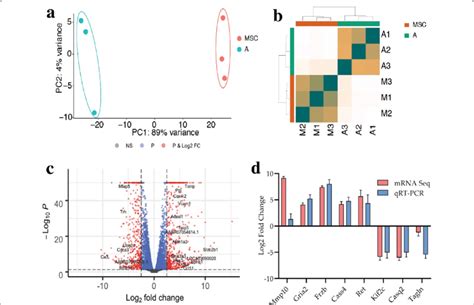 A PCA Plot Of Samples Samples Are Colour Coded Based On Their Group Download Scientific