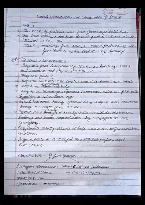 General Characteristics And Classification Of Protozoa Edubirdie