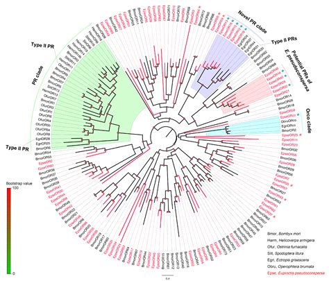 Transcriptome Profiling Of Euproctis Pseudoconspersa Reveals Candidate Olfactory Genes For Type