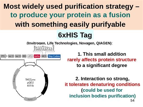 1 Gene Expression Systems In Prokaryotes And Eukaryotes
