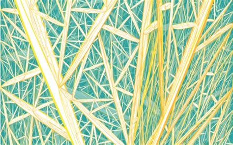 Assignment 8 Stevenzhou01 Observable