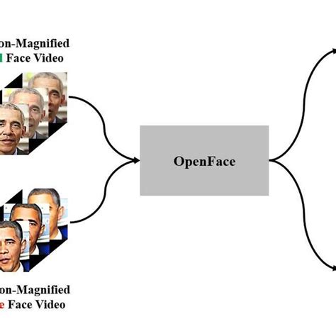 Flowchart Of Building Poi Feature Representation Motion Magnification